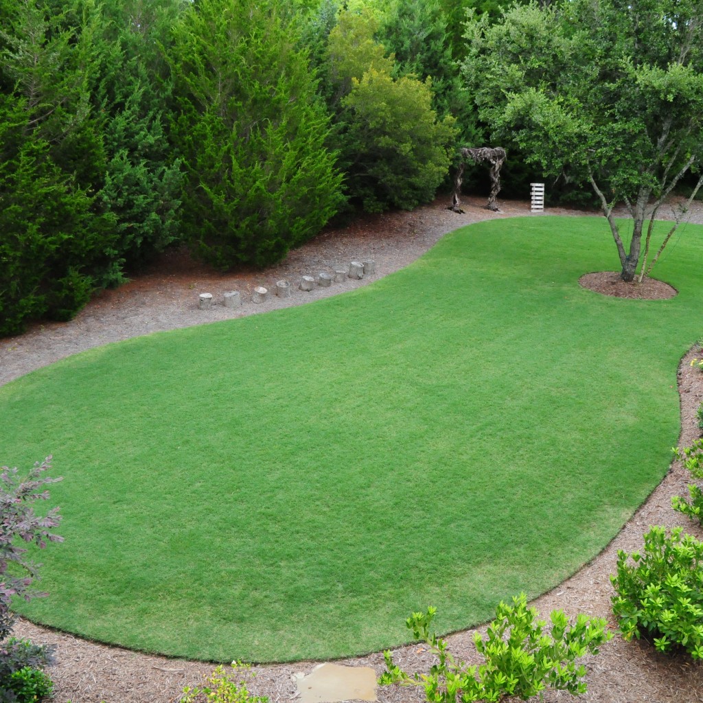Types of Turf Grass in Wilmington - Element Outdoor Living Blog Post ...