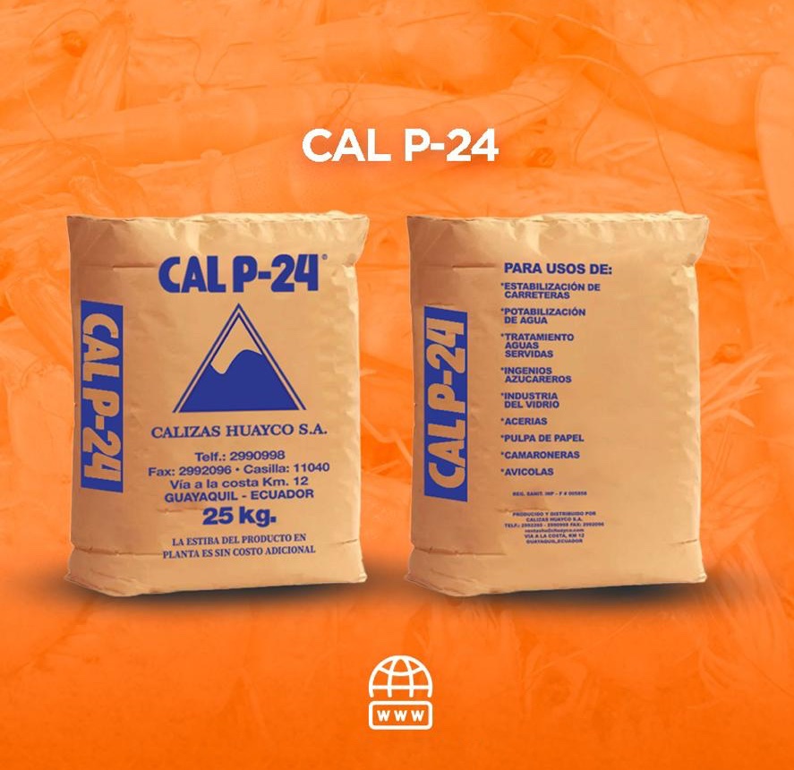 CAL P 24