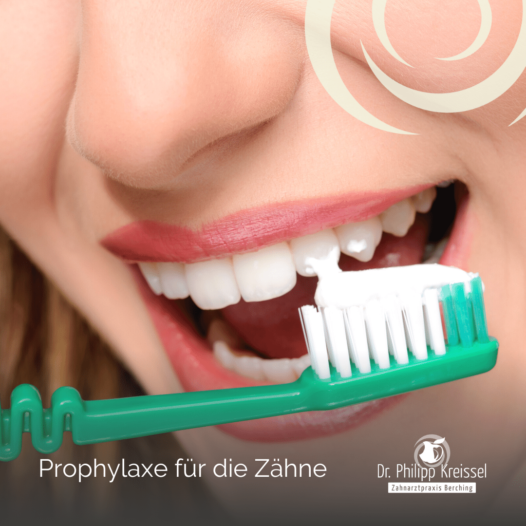 Prophylaxe - so wichtig für die Zähne! Dr. Kreissel aus Berching