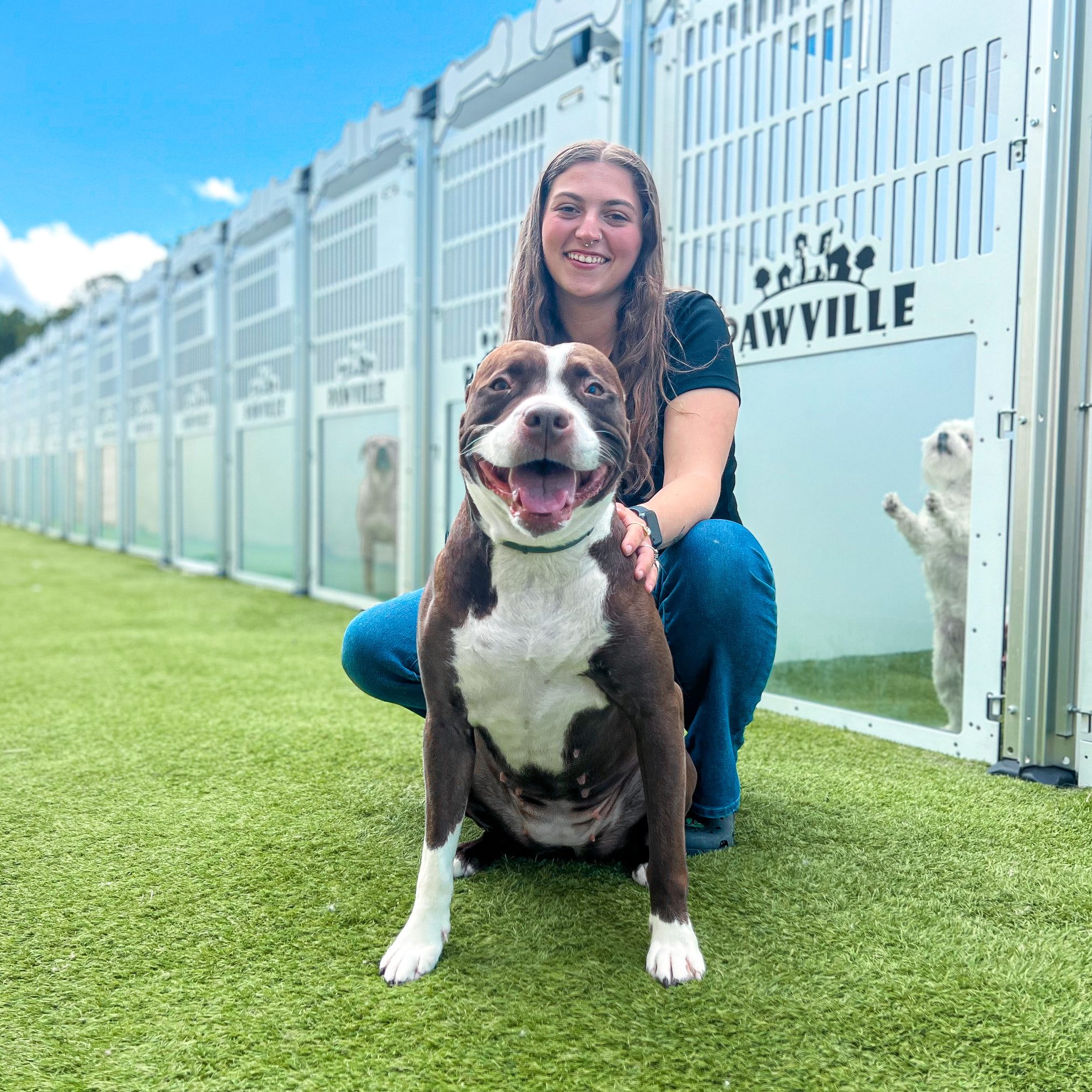 Jax Pawville - Pawville