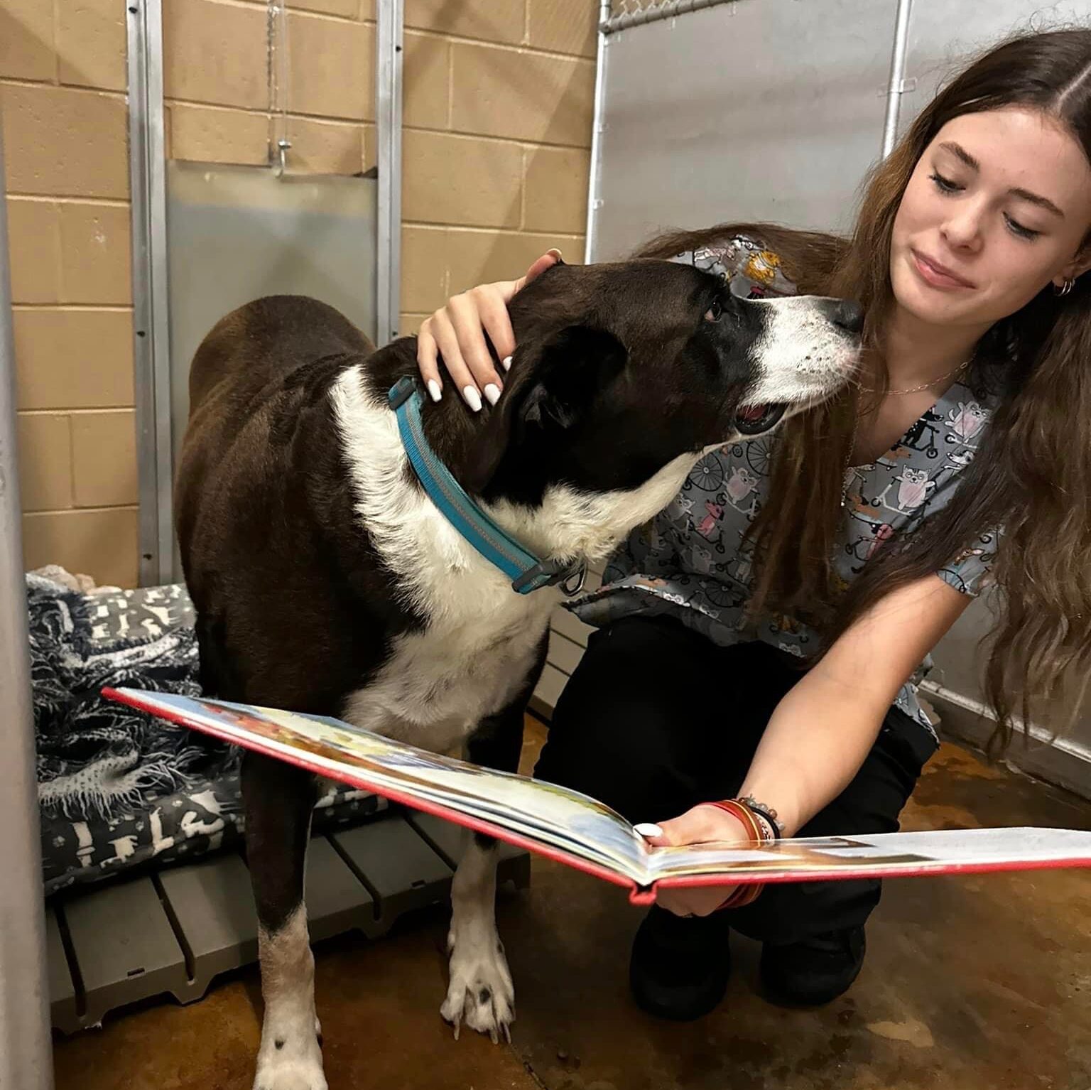 Pawville Winder Georgia - Pawville