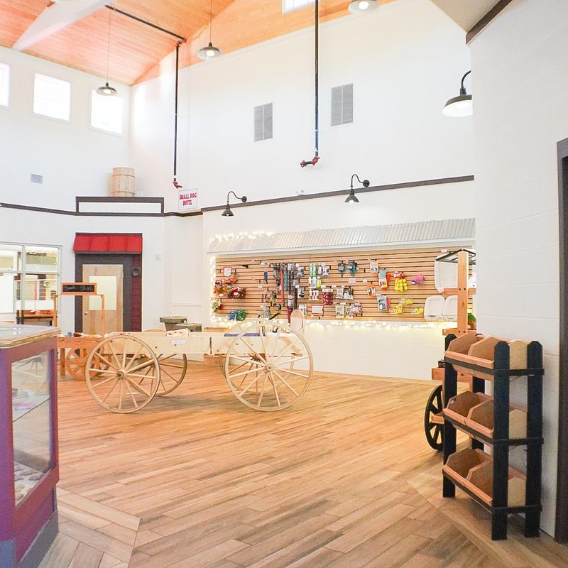 Midtown Our Facility - Pawville