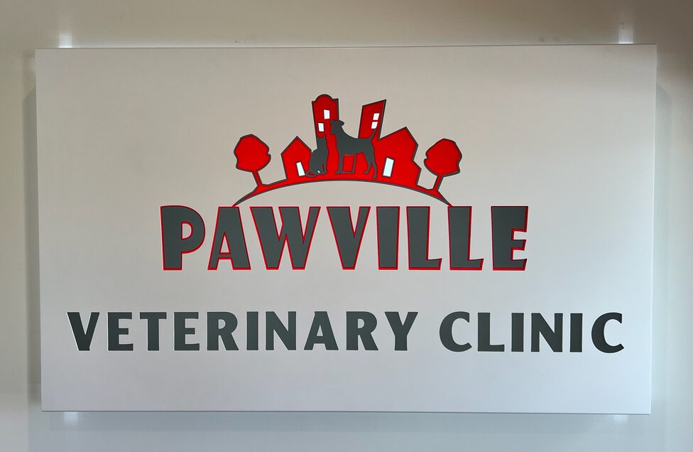 Pawville Vet Pawville pawville-vet-pawville